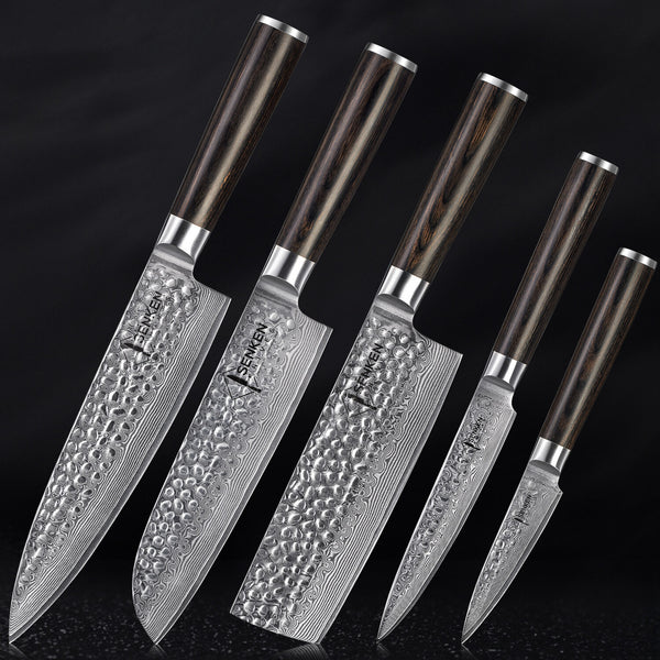 "Ronin" Collection - Japanese VG10 Hammered Damascus Steel Knife Set ...