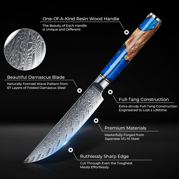 Tsunami Steak Knife Set — Japanese VG10 Damascus Steel with Blue Resin ...